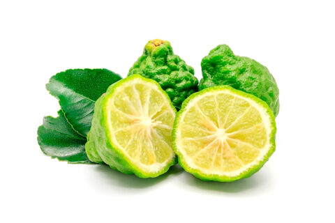 Bergamota: Descubre Todos Los Secretos | FrutaMare